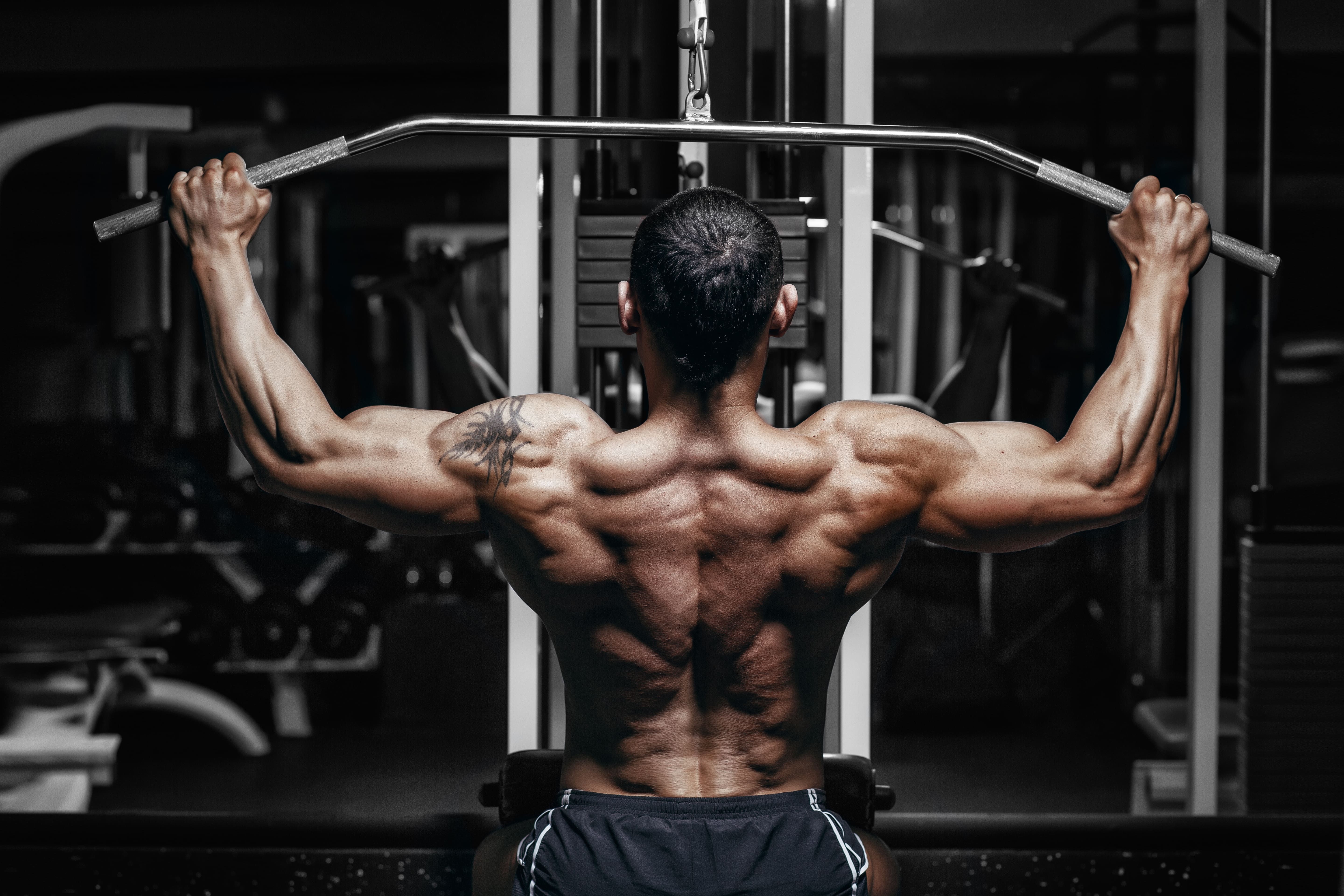 Exercises to Strengthen Your Back - Space Coast OrthopedicMerritt ...