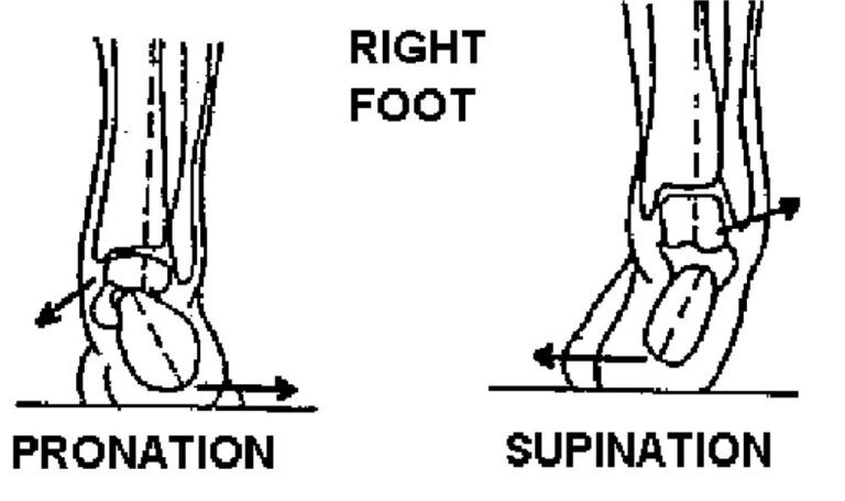 Closed Chain Kinetic Movement of the Lower Extremities - Portland ...