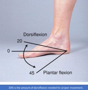 Closed Chain Kinetic Movement of the Lower Extremities - Barnes Foot ...