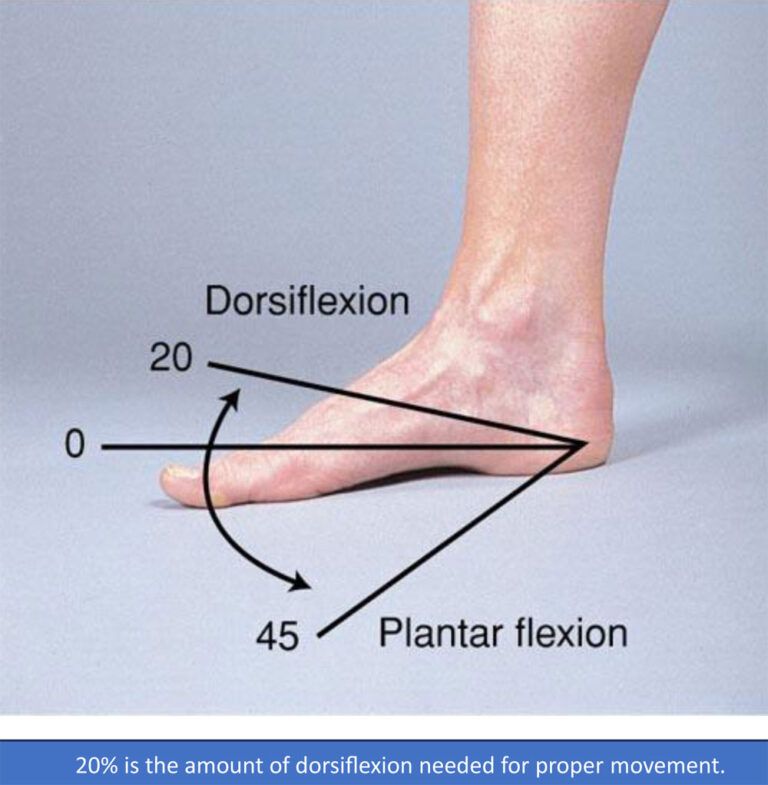 Closed Chain Kinetic Movement of the Lower Extremities - Barnes Foot ...